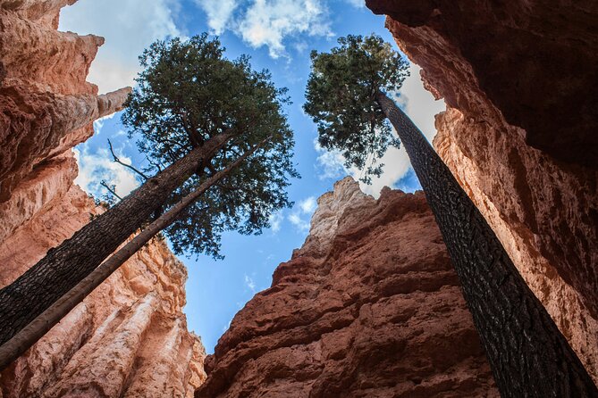 Bryce Canyon Full Day Small Group Tour - Why This Tour Is Worth It