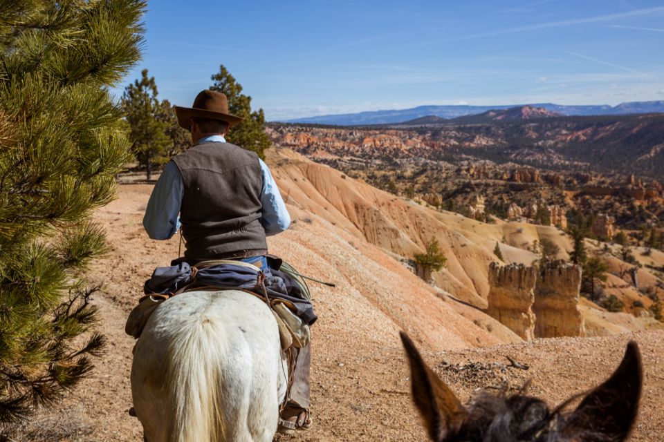 Bryce Canyon: Horseback Ride in the Dixie National Forest - The Horses and Guides