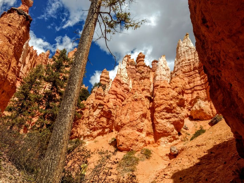 Bryce Canyon National Park Hiking Experience - A Thorough Look at the Bryce Canyon Hiking Tour