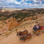 Bryce Canyon National Park: Scenic Wagon Ride to the Rim - What You’ll See and Experience on the Ride