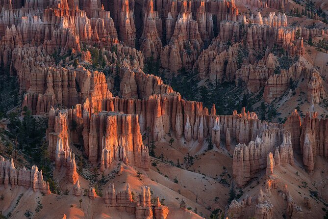 Bryce Canyon Photography Tours - Exploring the Astro Photo Tour