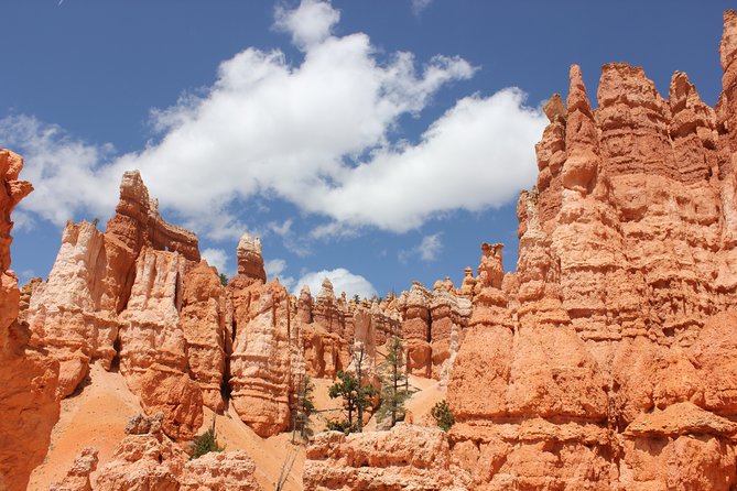 Bryce Canyon & Zion National Parks from Vegas, Lunch, Free WiFi - Who Would Love This Tour?