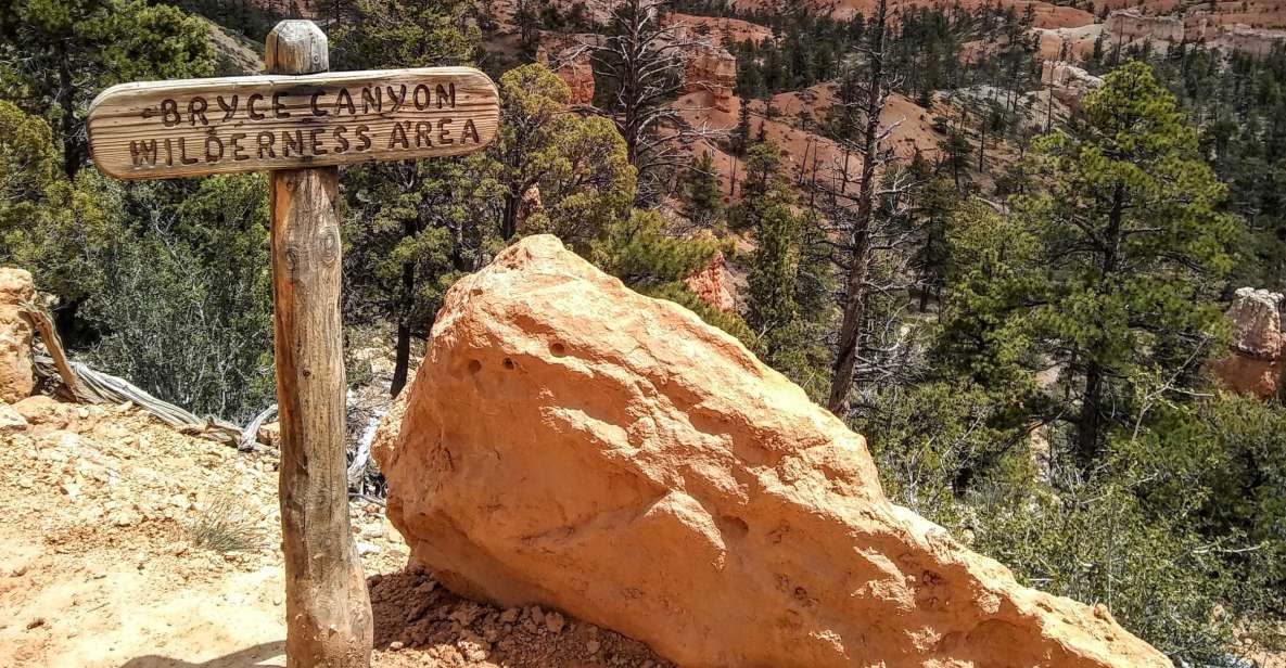 Bryce: Guided Sightseeing Tour of Bryce Canyon National Park - Why Choose This Bryce Canyon Tour?