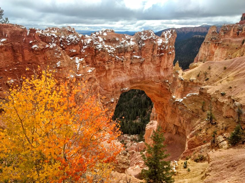 Bryce: Guided Sightseeing Tour of Bryce Canyon National Park - What You’ll Experience Step-by-Step