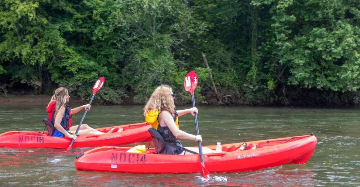 Bryson City: Fontana Lake Guided Kayak Tour - An In-Depth Look at the Fontana Lake Kayak Tour