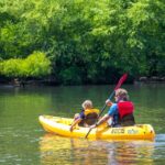 Bryson City: Fontana Lake Guided Kayak Tour - Who Would Enjoy This Tour?
