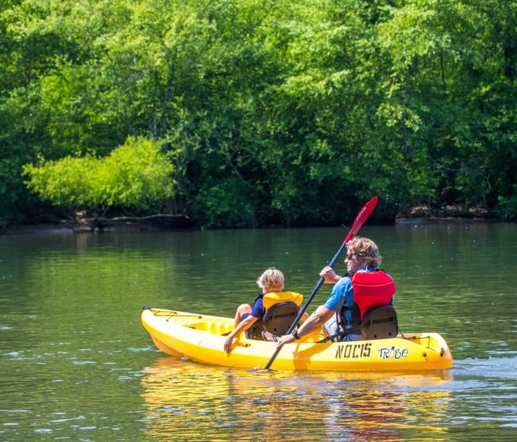 Bryson City: Fontana Lake Guided Kayak Tour - Who Would Enjoy This Tour?