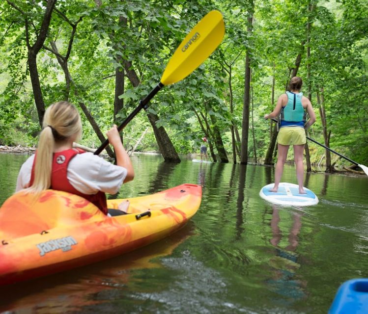 Bryson City: Fontana Lake Guided Kayak Tour - Final Thoughts