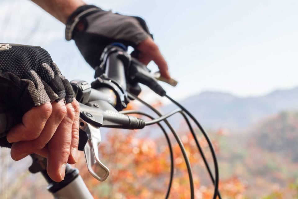 Bryson City: Tsali Recreation Area Guided Mountain Bike Tour - An Overview of the Experience: What You Can Expect