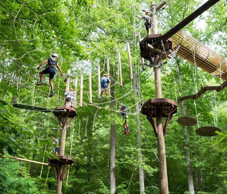 Bryson City: Zip Line Adventure Park Pass with Gear - An Overview of the Bryson City Zip Line Adventure