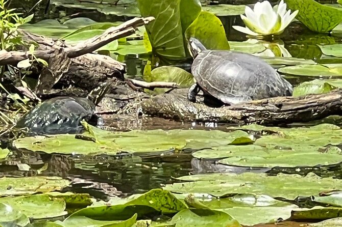 Buckhorn State Park nature hike, kayaking tour, and fishing - An In-Depth Review of the Experience