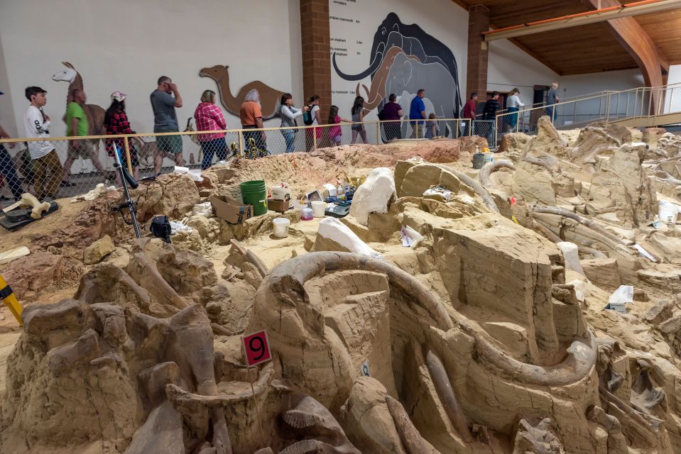 Buffalo Jeep Safari & Mammoth Site Tour - Exploring the Black Hills and Beyond
