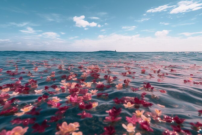 Burial at Sea Celebration of Life Charter - Key Points