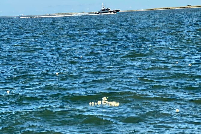 Burial at Sea Celebration of Life Charter - Why Choose This Experience?
