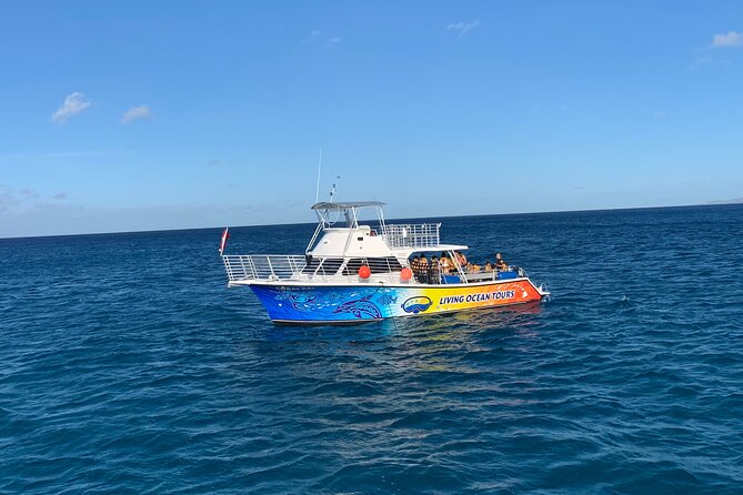 BYOB Sunset Cruise off the Waikiki Coast - Who is This Tour Best For?