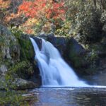 Cades Cove Sightseeing Self-Guided Driving Audio Tour - An In-Depth Look at Cades Cove Self-Guided Audio Tour