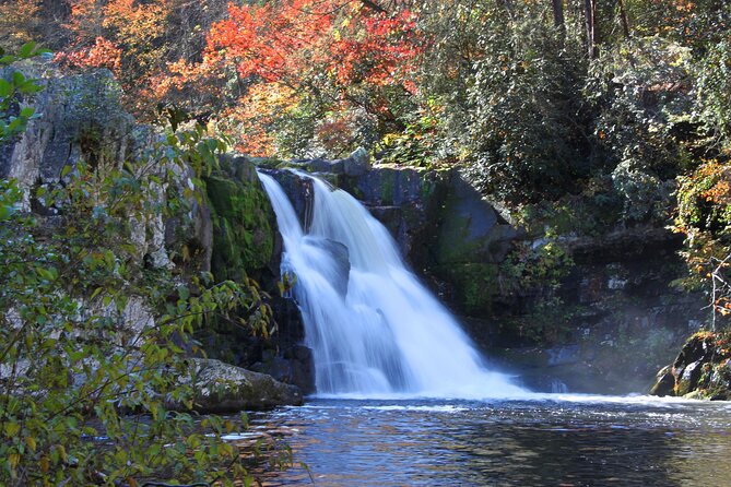 Cades Cove Sightseeing Self-Guided Driving Audio Tour - An In-Depth Look at Cades Cove Self-Guided Audio Tour