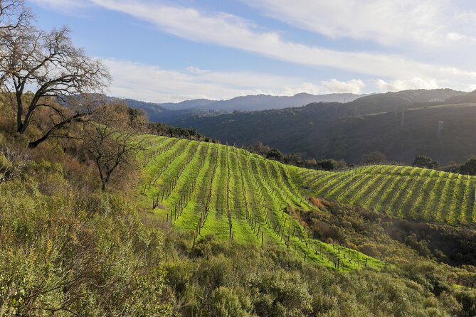 Calaveras and Tuolumne Digital Wine Tasting Pass - What’s Included and How It Works