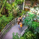 California Academy of Sciences General Admission Ticket - In-Depth Look at Each Stop