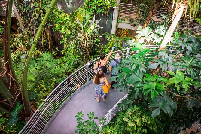 California Academy of Sciences General Admission Ticket - In-Depth Look at Each Stop