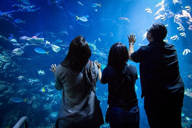 California Academy of Sciences NightLife Admission Ticket - The Experience from the Reviewer’s Perspective