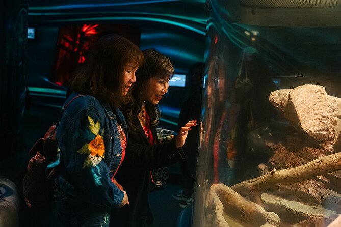 California Academy of Sciences NightLife Admission Ticket - Practical Tips for Your Night Out