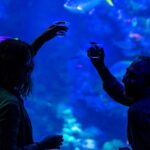 California Academy of Sciences NightLife Plus Admission - Experience Breakdown