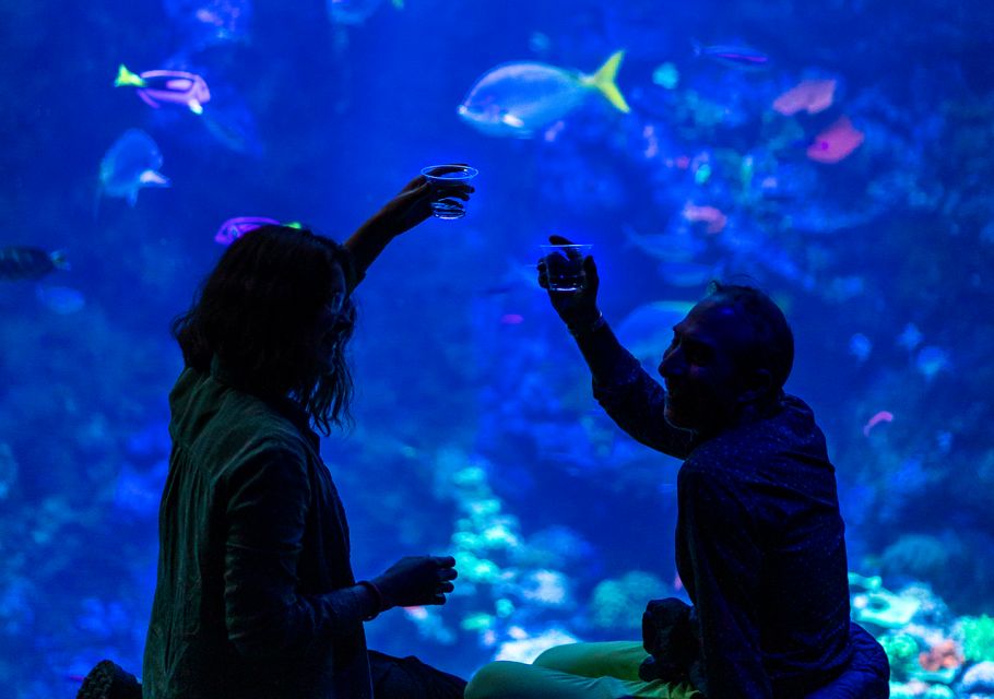 California Academy of Sciences NightLife Plus Admission - Authentic Feedback and Useful Tips