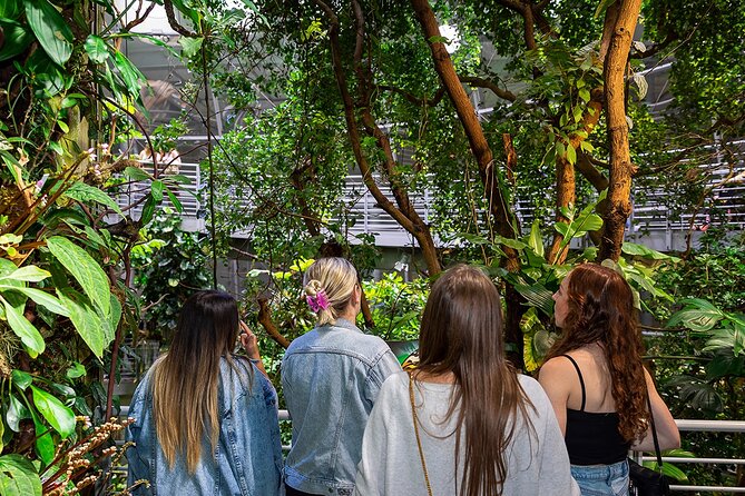 California Academy of Sciences NightLife Plus Admission Ticket - Practical Details and Value