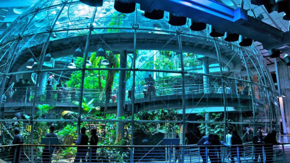 California Academy of Sciences Thursday NightLife Admission - Practical Tips for a Great Night Out