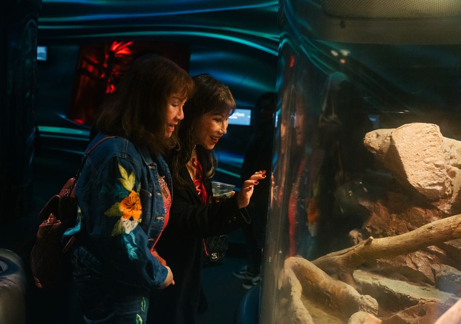 California Academy of Sciences Thursday NightLife Admission - Who Should Consider This Experience?