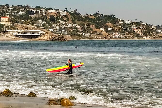 California Beach Towns & Celebrity Homes private flexible tour - Who’s This Tour For?