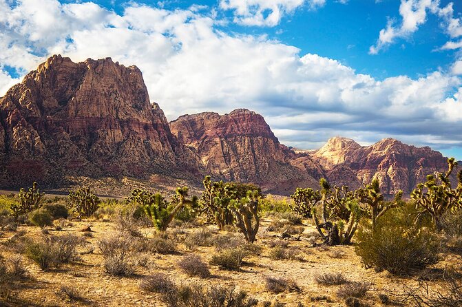 California desert, Red Rock Sign and Seven Magic Mts - Introduction: Our Take on the Tour