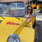 California Dreaming San Diego Beaches GoCar Buggy Tour - The Experience: What Travelers Can Expect