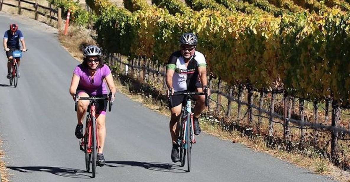 Calistoga: Napa Valley Cycling and Winery Tour with Picnic - An In-Depth Look at the Napa Valley Cycling and Winery Tour
