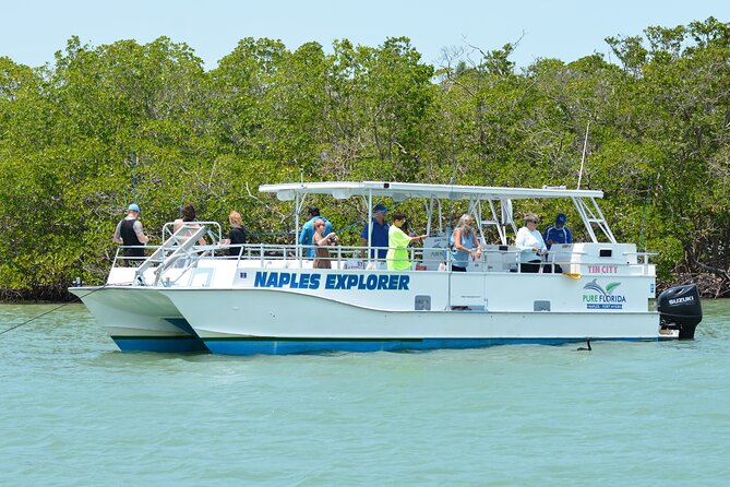 Calm Bay Fishing - Key Points