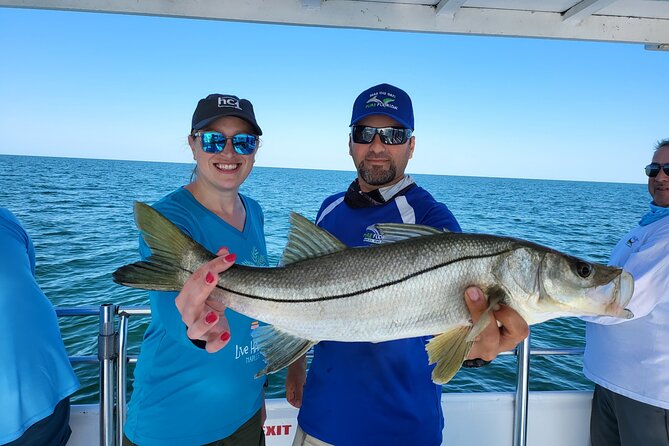 Calm Bay Fishing - The Fish You Might Catch