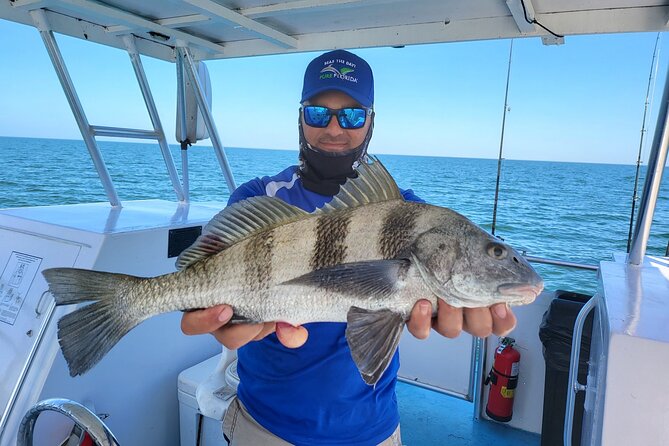 Calm Bay Fishing - The Cost and Overall Value