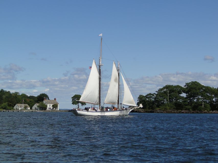 Camden: Historic Schooner Day Sailing Trip - Wildlife and Nature
