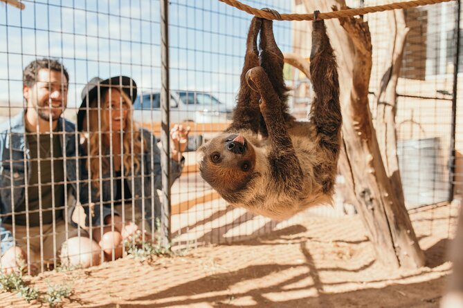 Camel Safari - Camel Ride and Zoo Tour - Exploring the Camel Safari Experience