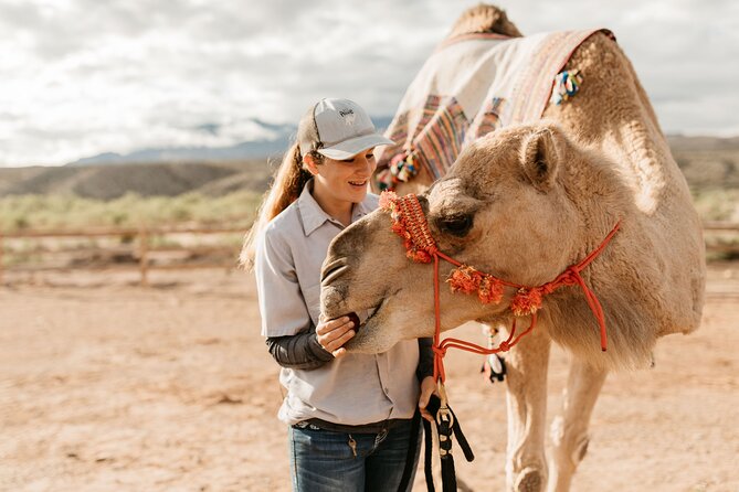 Camel Safari - Camel Ride and Zoo Tour - FAQ