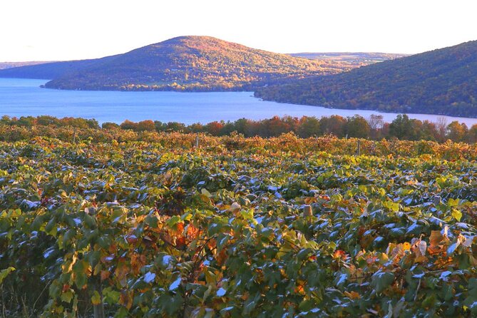 Canandaigua Wine Trail Experience - A Detailed Look at the Tour Itinerary