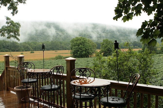 Canandaigua Wine Trail Experience - Who Should Consider This Tour?