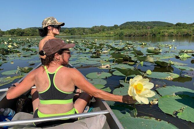 Canoe/Kayak Day Tour of Mississippi Wildlife & Fish Refuge - Key Points