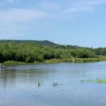 Canoe/Kayak Day Tour of Mississippi Wildlife & Fish Refuge - An In-Depth Look at the Tour Experience
