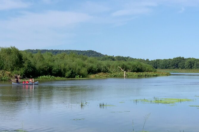 Canoe/Kayak Day Tour of Mississippi Wildlife & Fish Refuge - An In-Depth Look at the Tour Experience