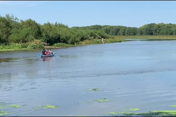 Canoe/Kayak Day Tour of Mississippi Wildlife & Fish Refuge - Who Would Love This Experience?