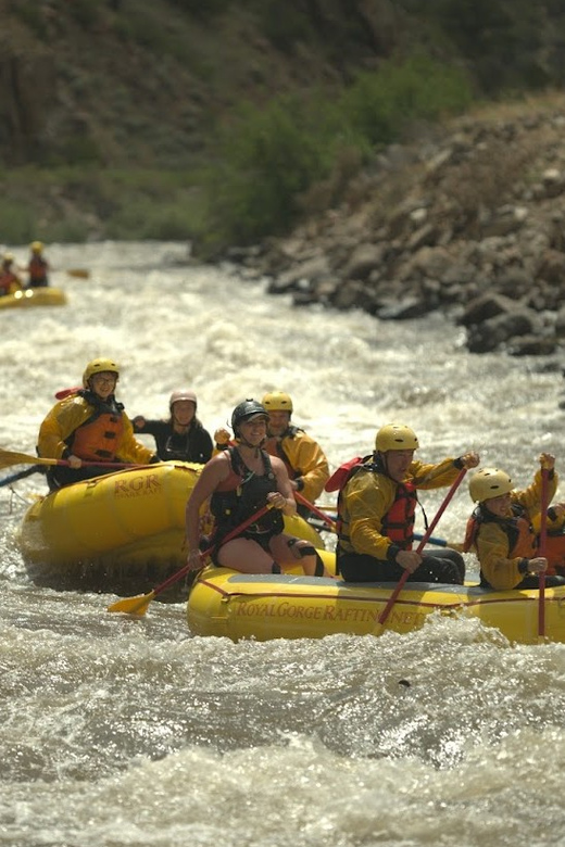 Cañon City: Bighorn Sheep Canyon Guided Rafting Adventure - The Practicalities: Pricing, Duration, and Meeting Details