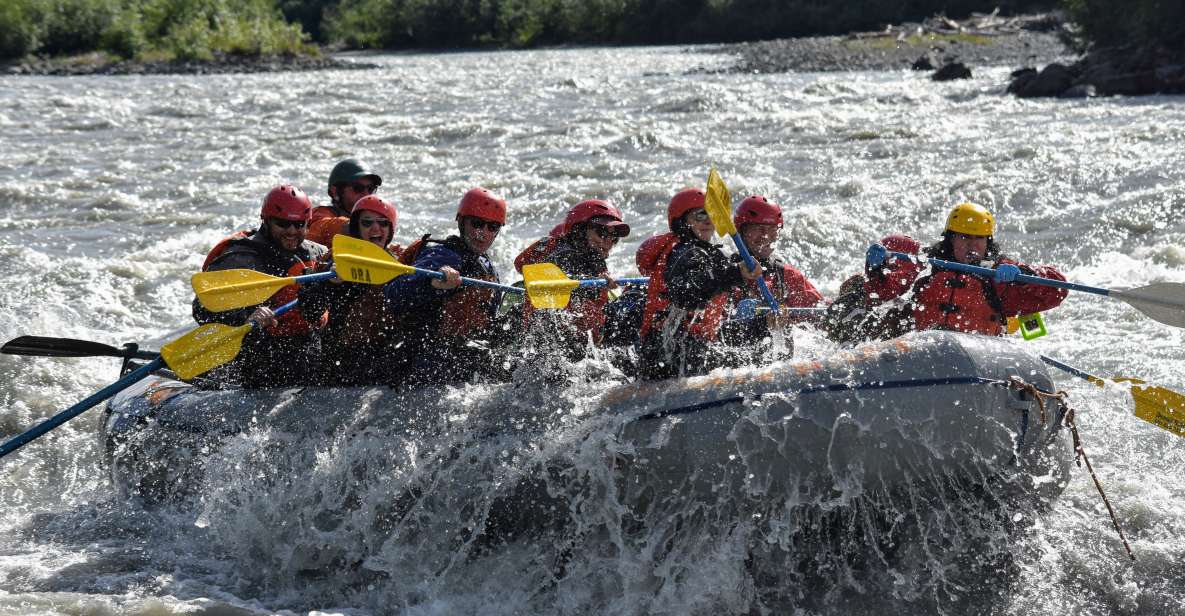 Canyon Run: Denali National Park Class IV Whitewater Rafting - Who Should Consider This Tour?