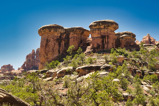 Canyonlands Full Day Private Tour and Hike - How the Tour Works: Logistics & Practicalities